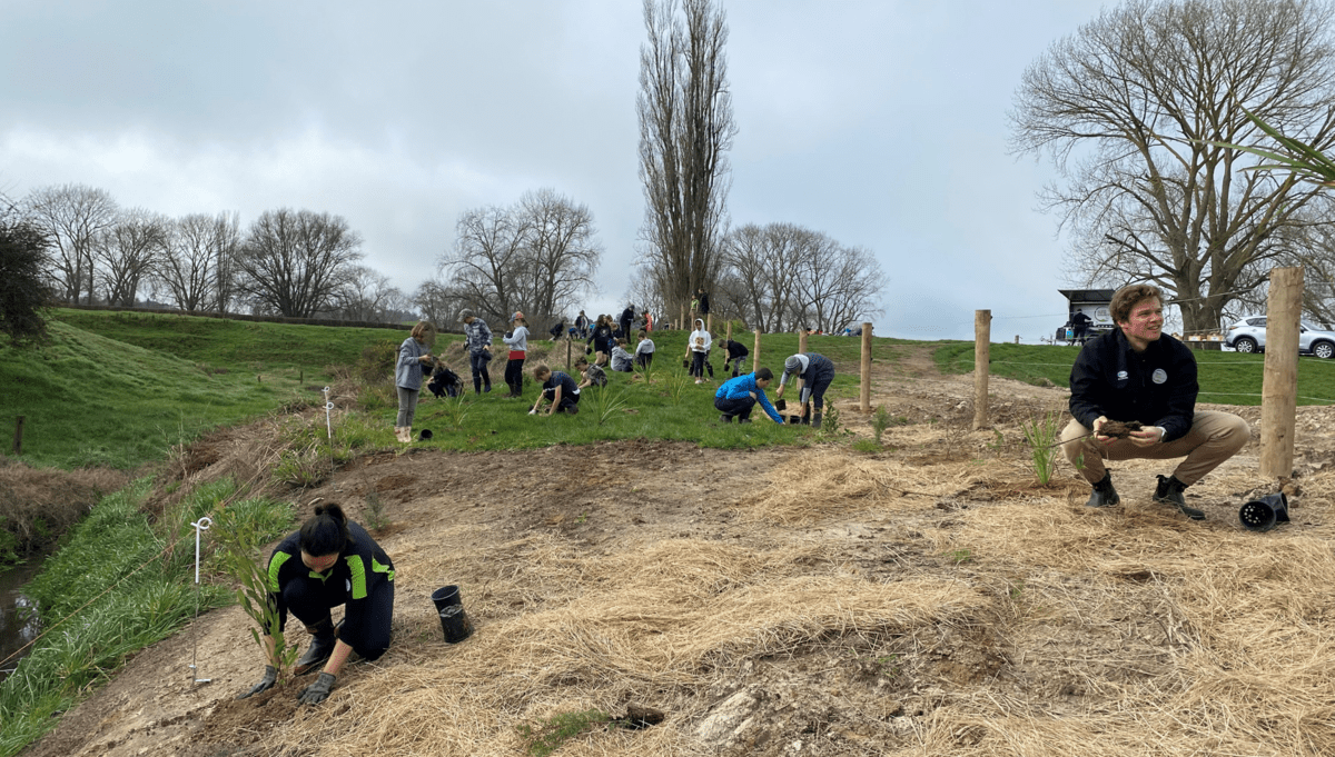 Kids Into Conservation In Mass Planting Exercise | News