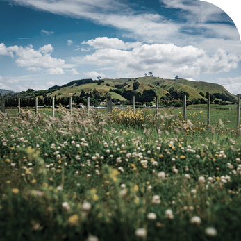 Case Study | Rural Coach