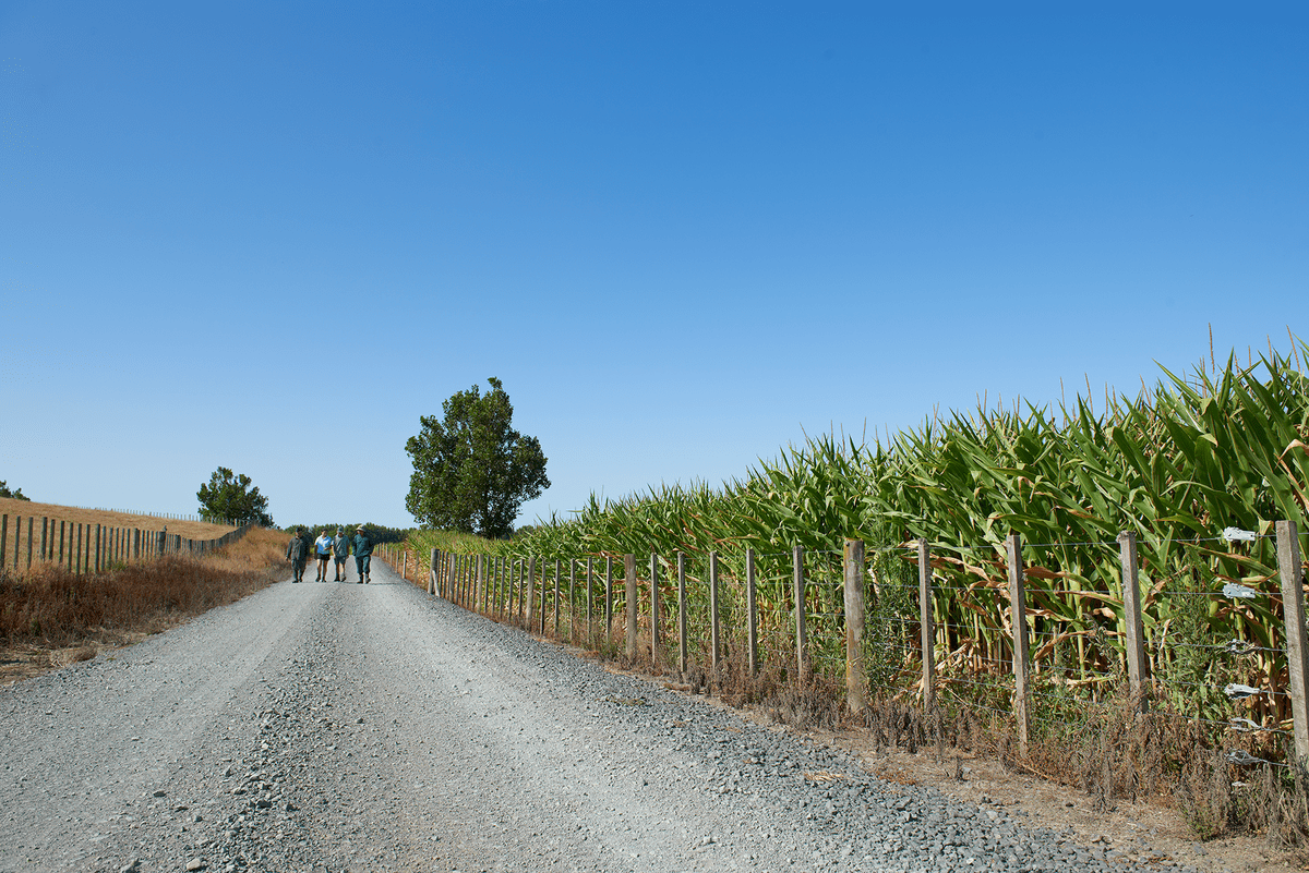 The Regions | Book Your Online Interview for a Farming Job Here!