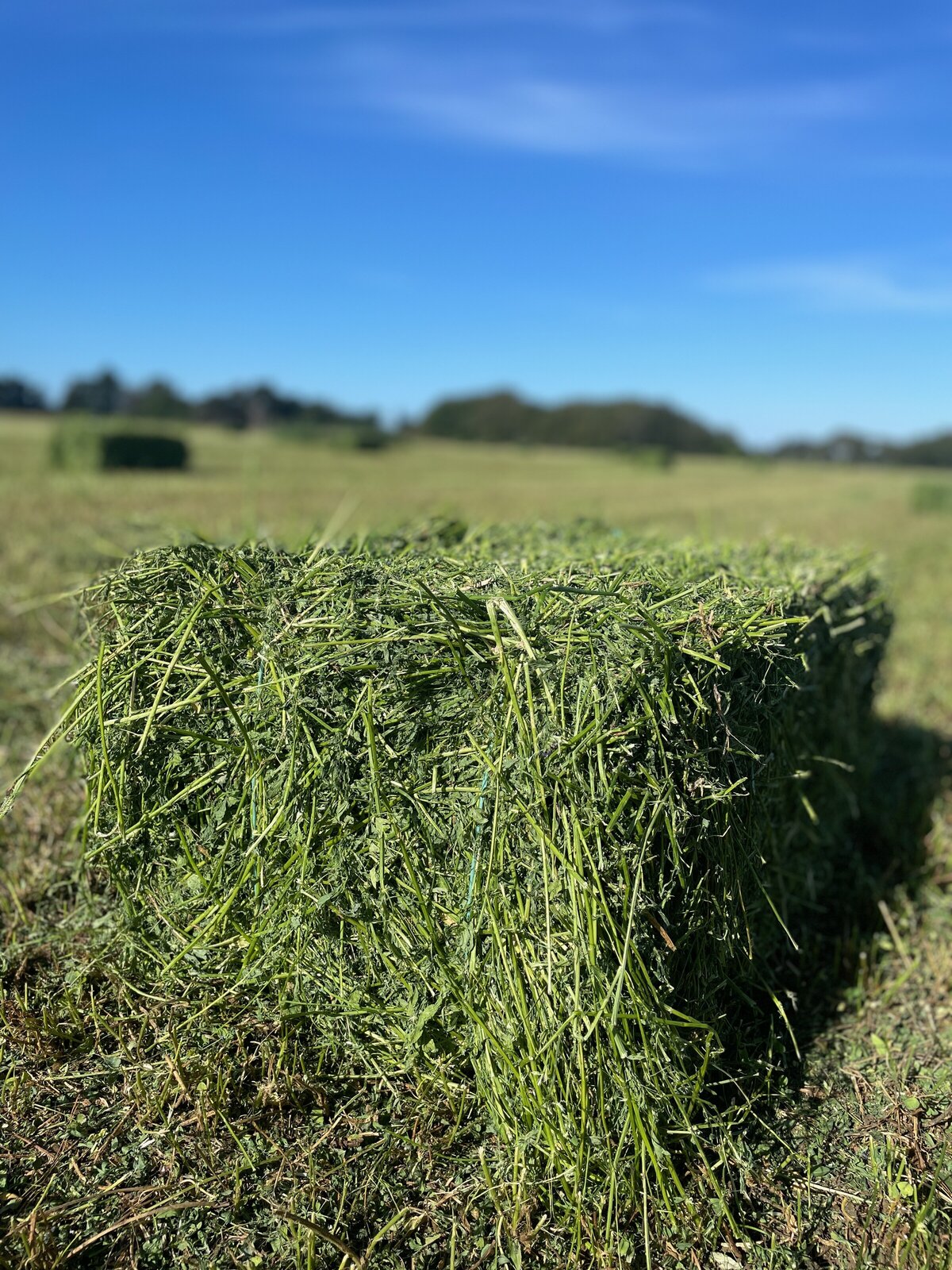 Highfields Farm | Hay & Stock Feed | NZ Wide Delivery
