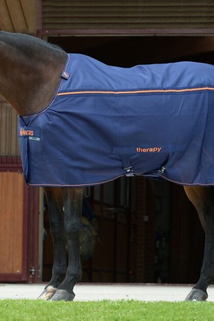 Horse Gear NZ | Highfields Equestrian | #1 Tack Shop Online