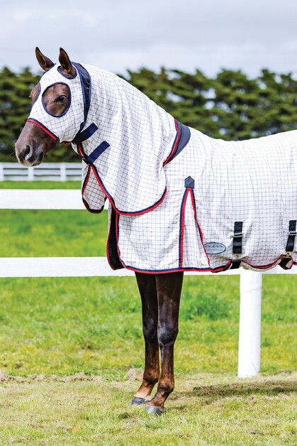 Horse covers store