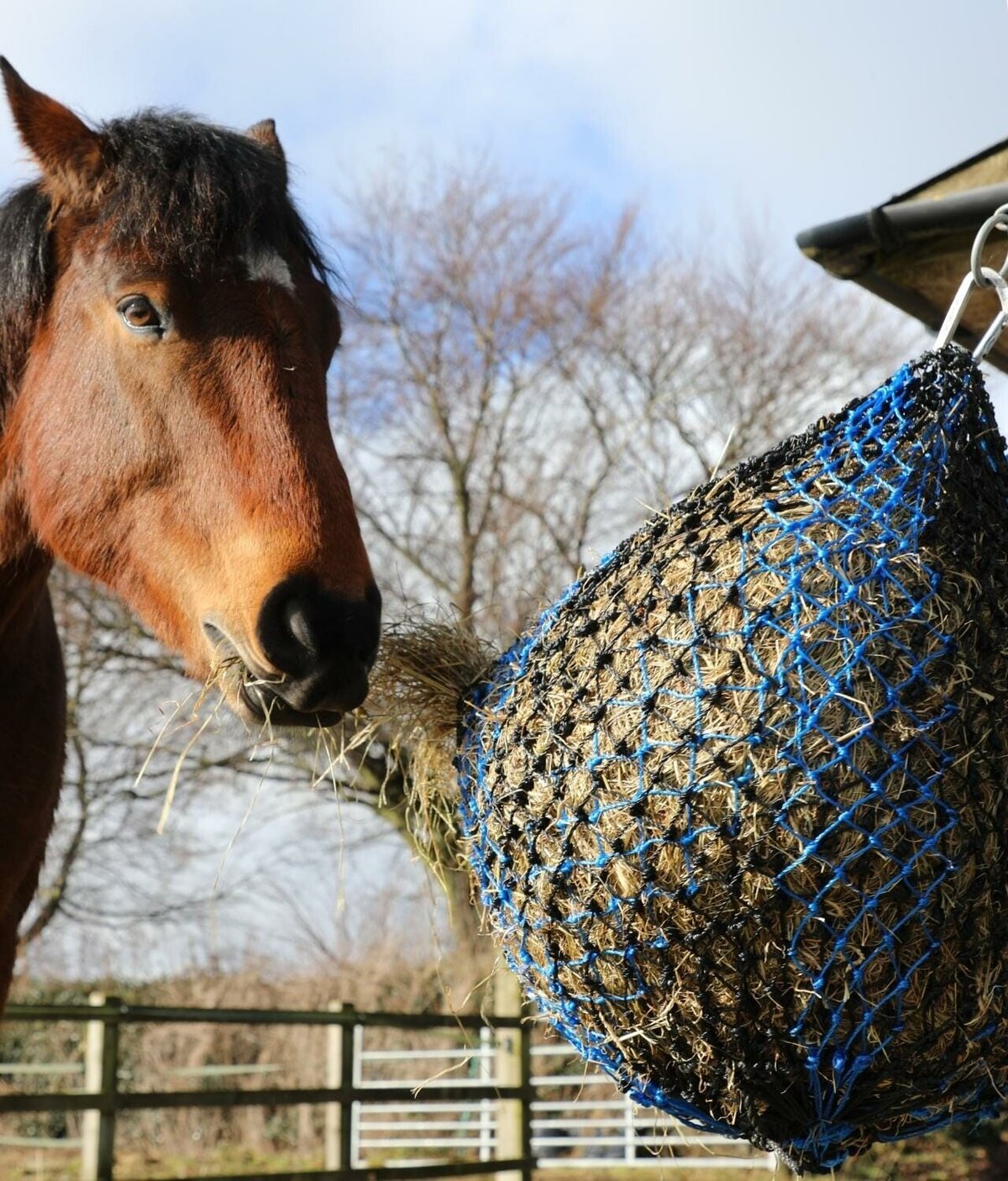 Stable & Horse Tack | Highfields Equestrian Online Saddlery