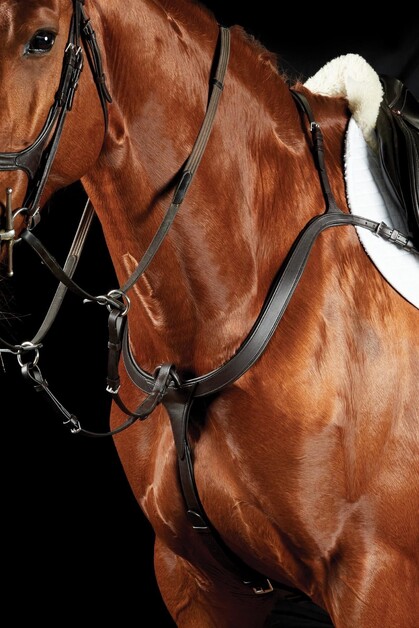 Horse Gear NZ | Highfields Equestrian | #1 Tack Shop Online