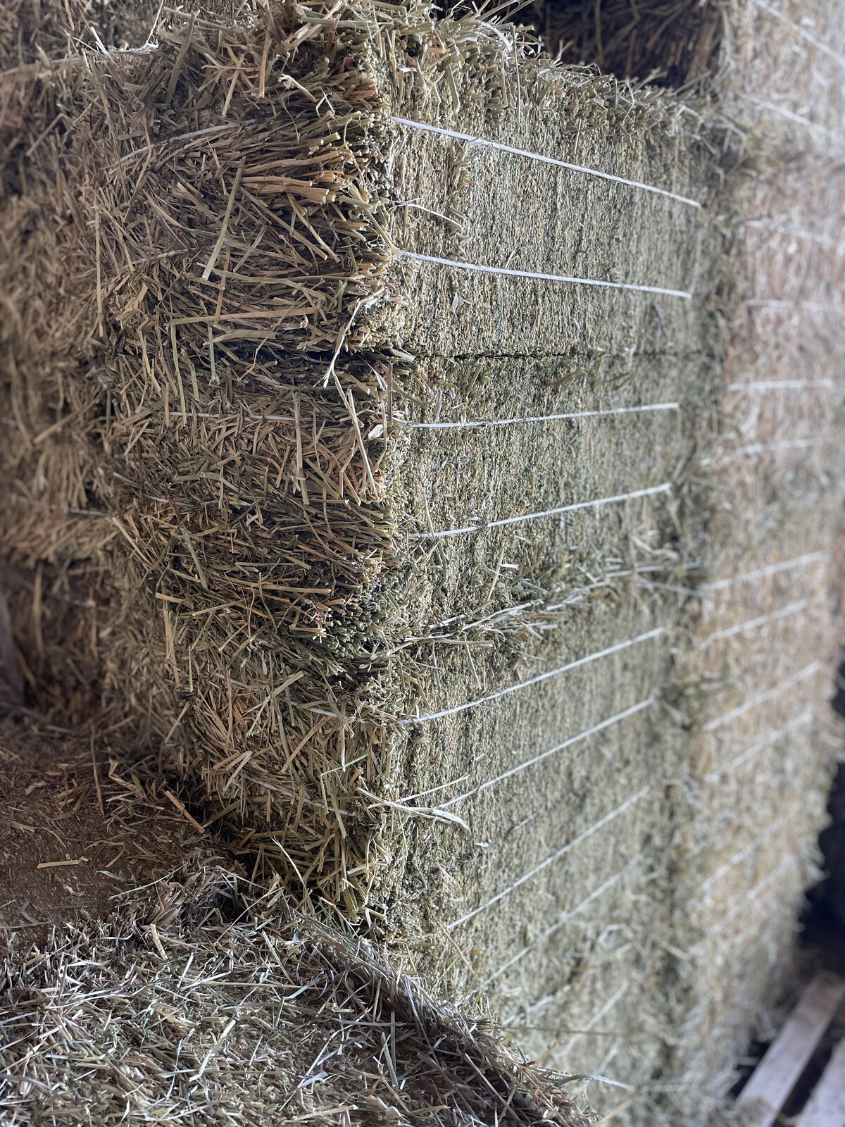 Highfields Equestrian, New Plymouth | #1 Taranaki Saddlery