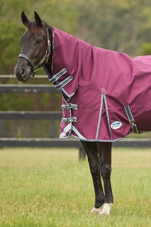 Highfields Equestrian, New Plymouth | #1 Taranaki Saddlery