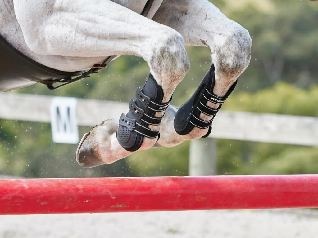Horse Gear NZ | Highfields Equestrian | #1 Tack Shop Online