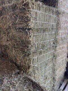 Hay & Horse Feed | NZ Delivery | Highfields Equestrian