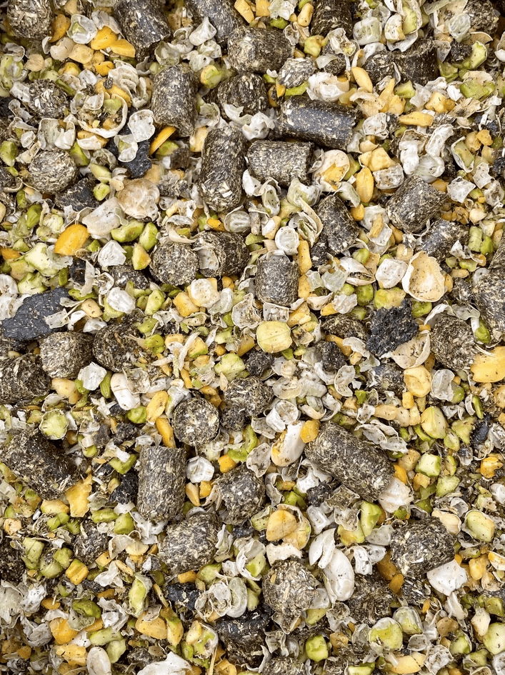 Highfields Equestrian & Saddlery | #1 Horse Tack Shop NZ