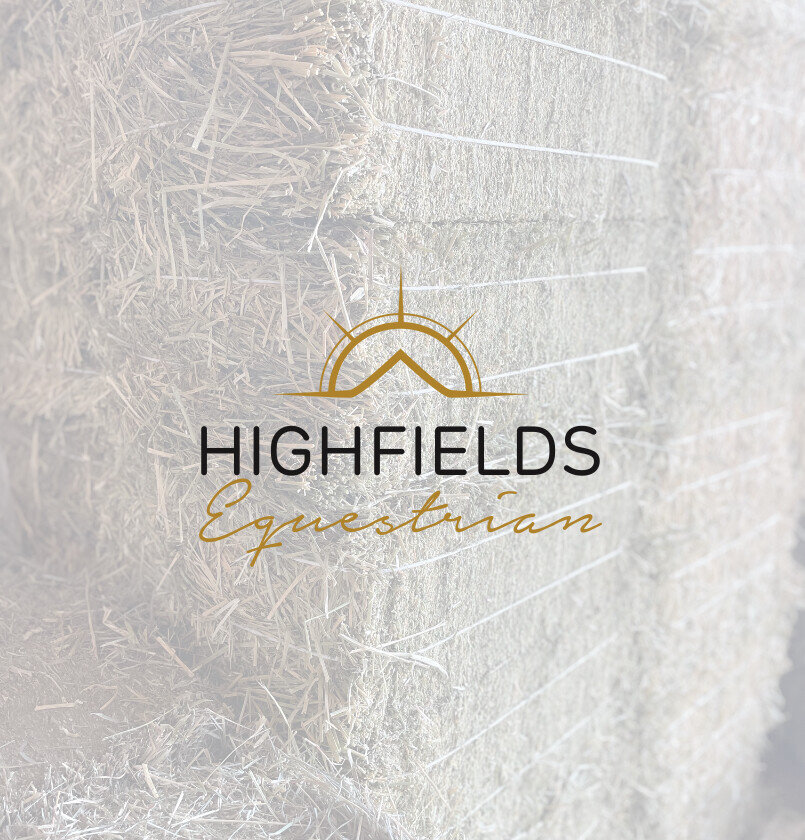 Highfields Equestrian & Saddlery | #1 Horse Tack Shop NZ