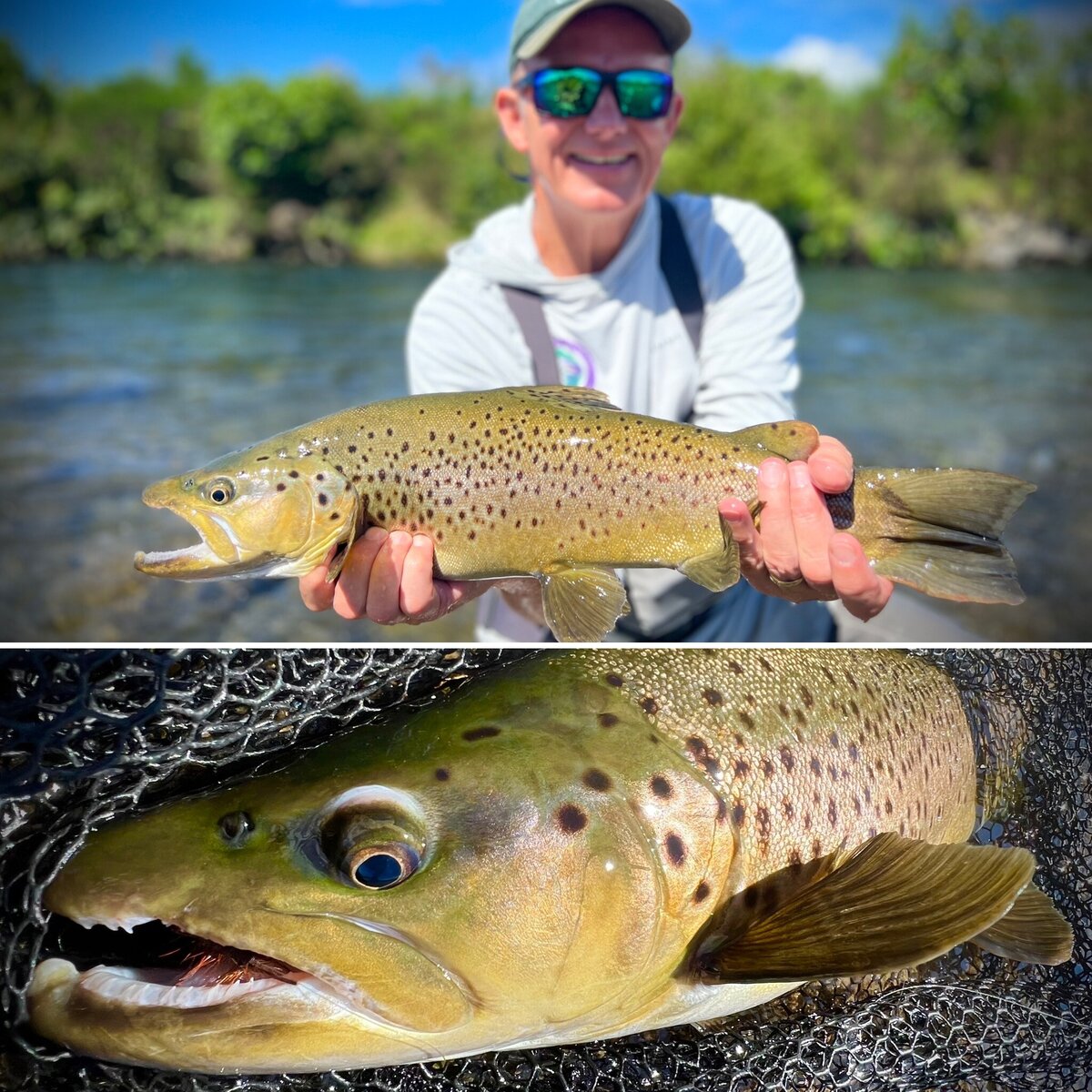 The North Island still delivers big!! despite extreme weather events ...