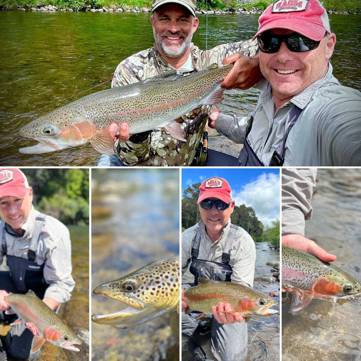 Excellent Early Season Fish | Robfish