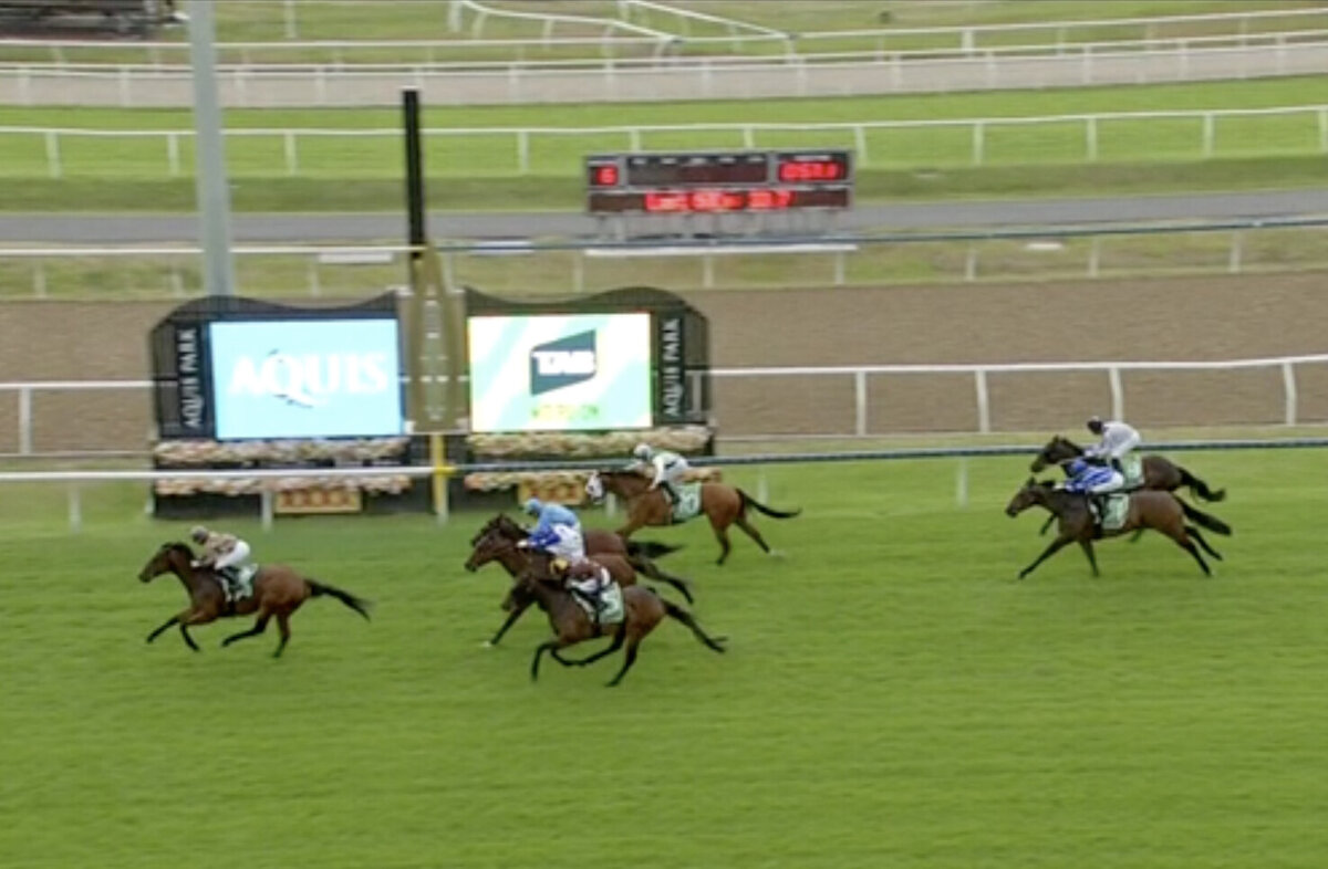 Triskelion Sprints Home for 3rd in Gold Coast Return | Jeff Poole