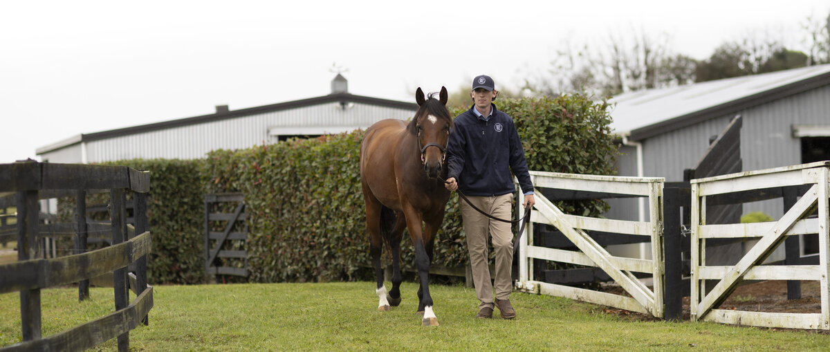 About Us | Jeff Poole