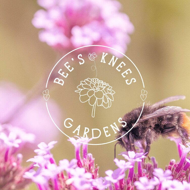 Creative Crane | Branding | Illustration | Graphic & Web Design