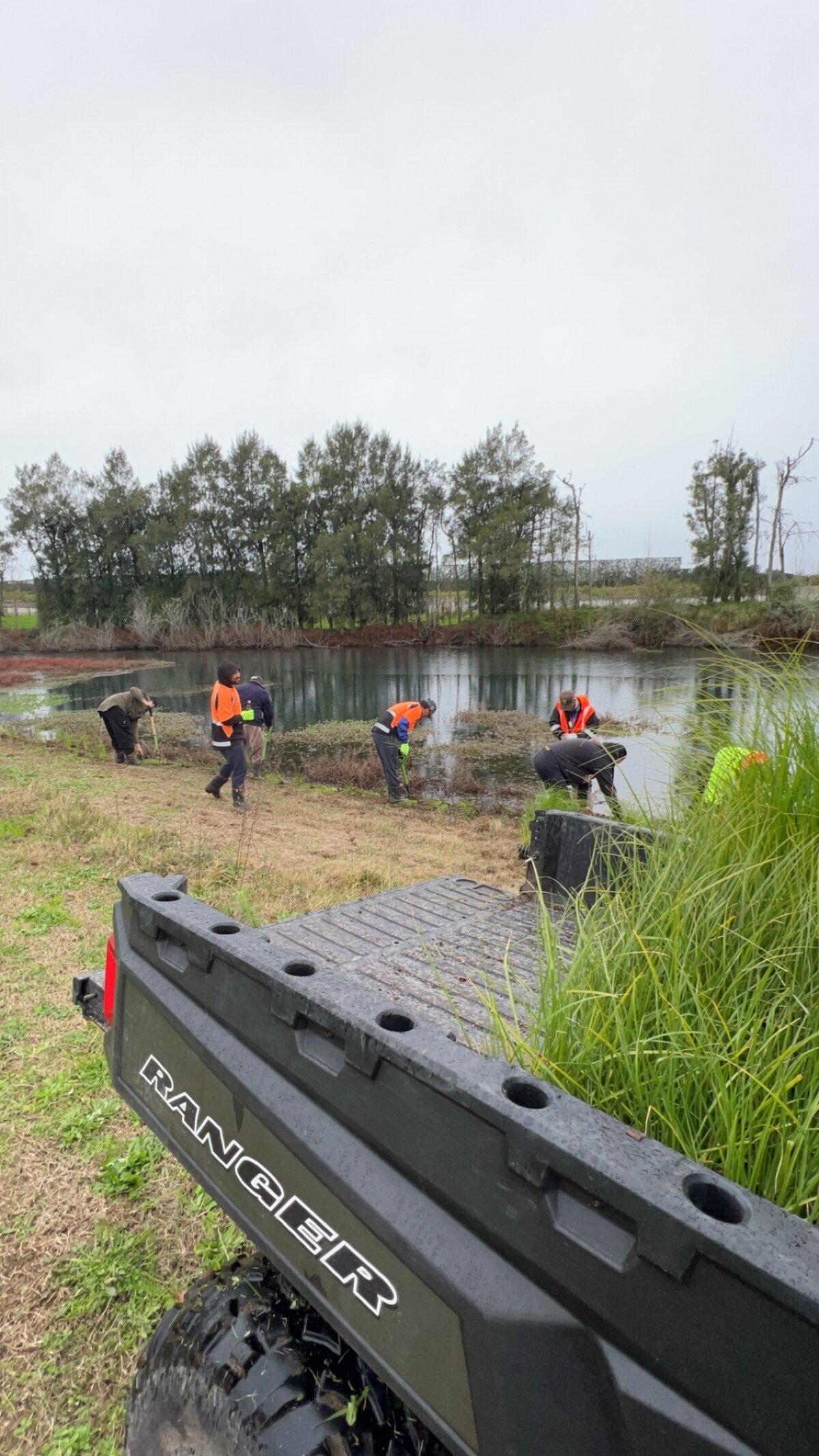 Tapuika Taiao | Tapuika Iwi Authority