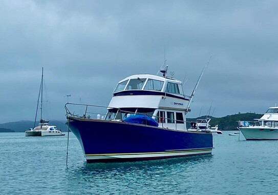 Boats for Sale in NZ | Listings | NORTH TO SOUTH BROKERS