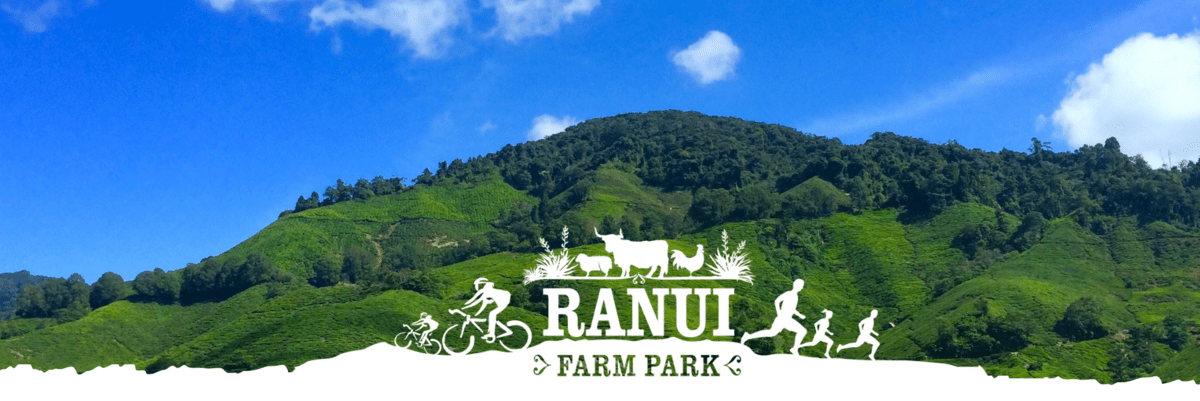 Mountain Bike Tracks | Walking & Running | Events | Retreats | Ranui ...