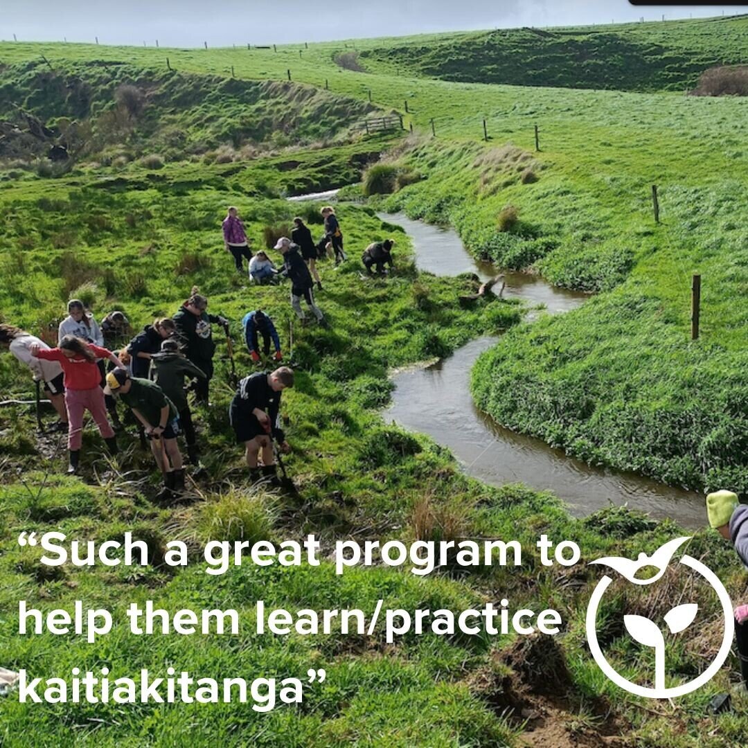 Teacher Feedback | Trees for Survival