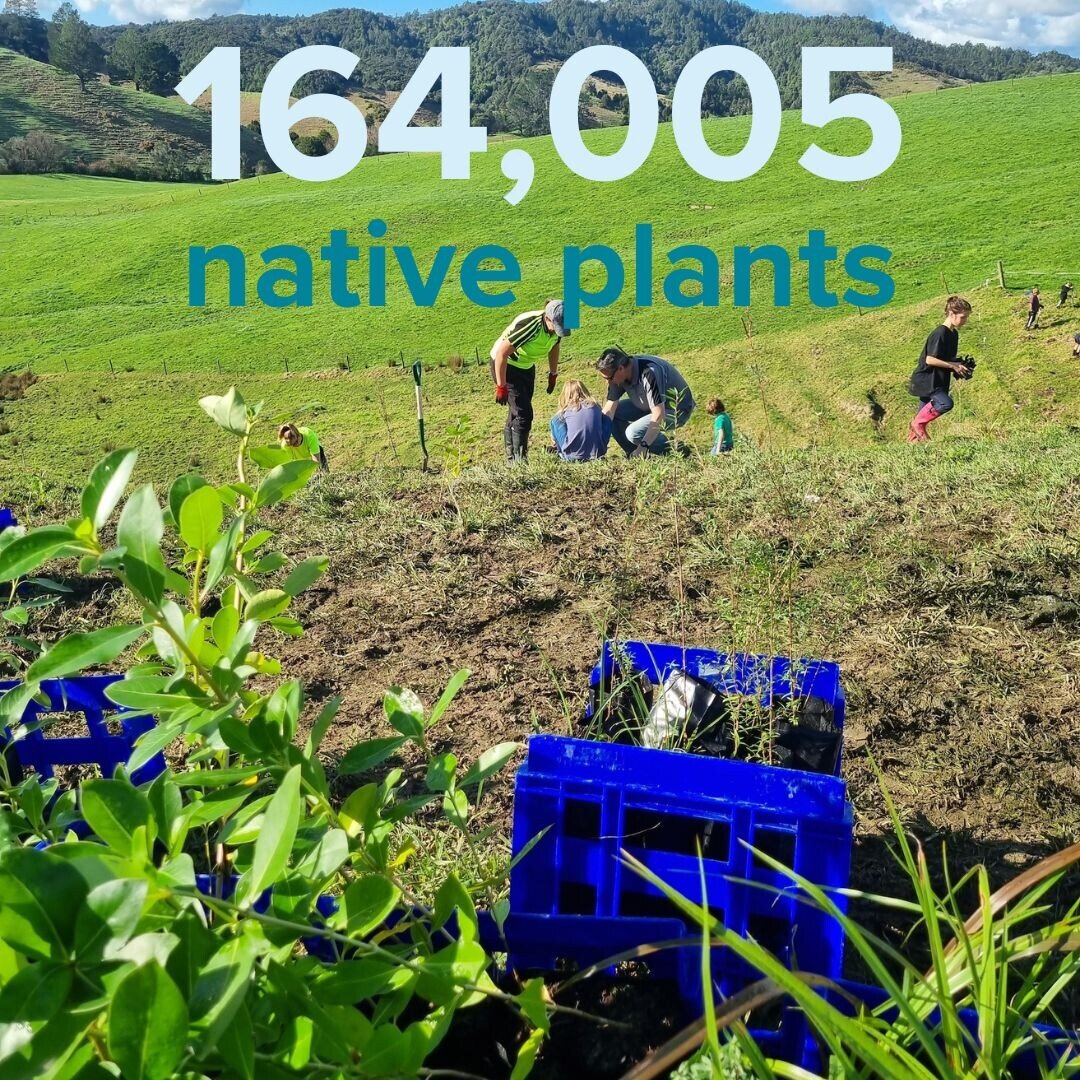 2024 Planting season | Trees for Survival