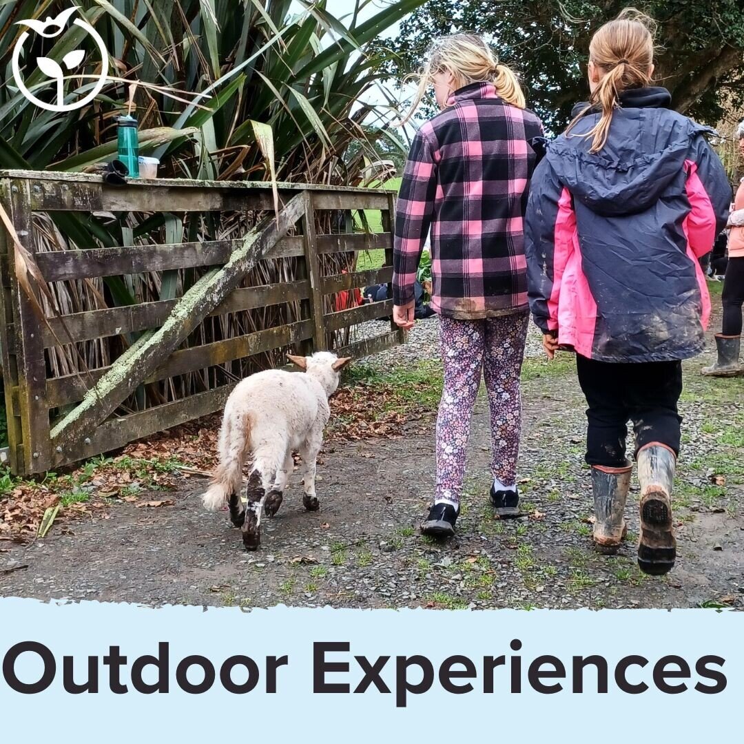 Outdoor experience | Trees for Survival