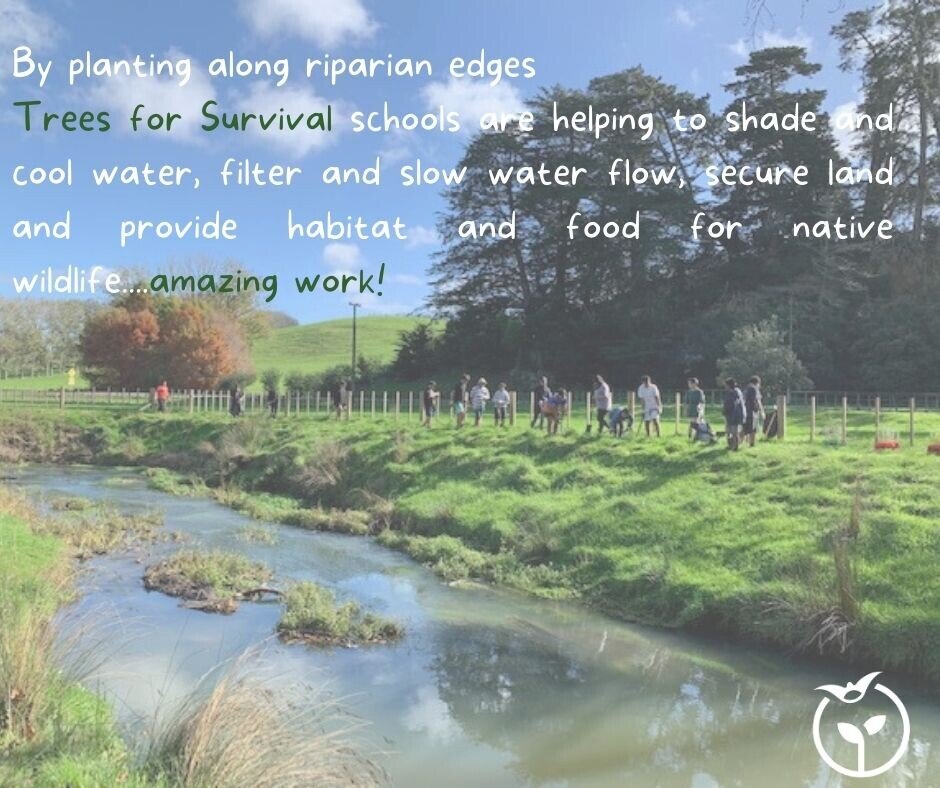 Riparian Planting | Trees for Survival
