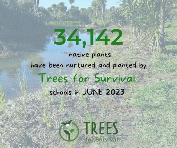 Planting Days in June | Trees for Survival