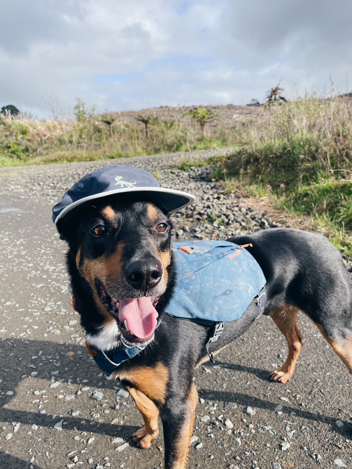 Huntaway Run Co. | About Us