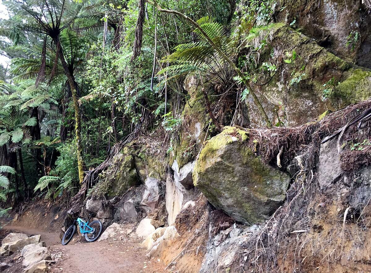 Five Great Ways to Upgrade Your Forest Loop! | Ride Rotorua Limited