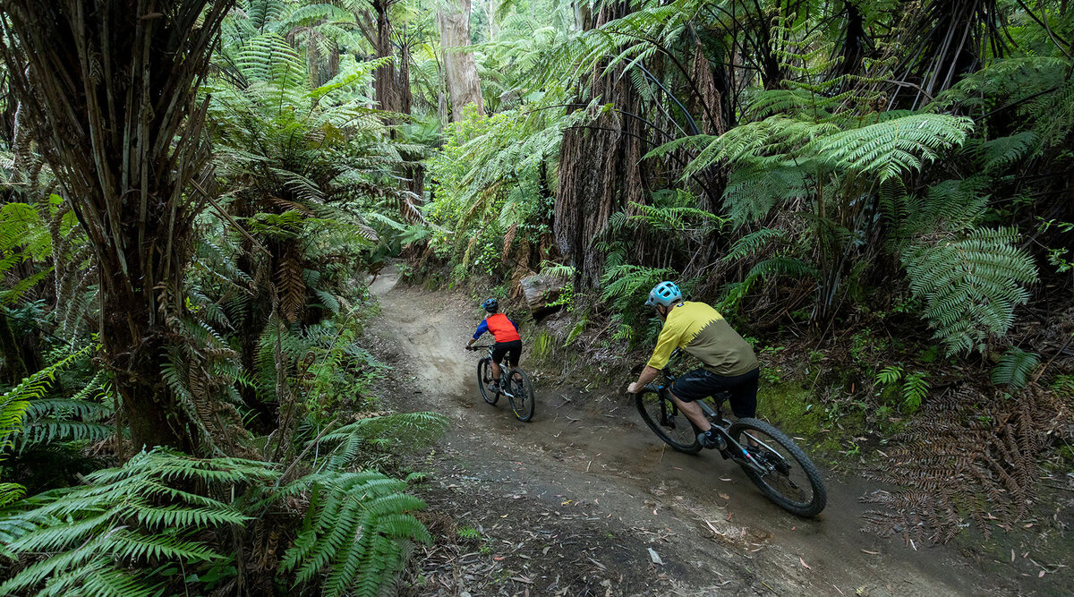 ROTORUA TRAILS | Ride Rotorua Limited