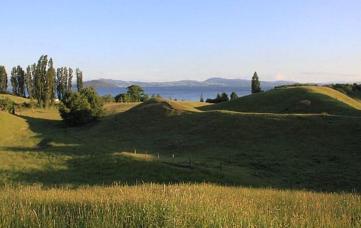 FOREST LOOP TRAIL | Ride Rotorua Limited