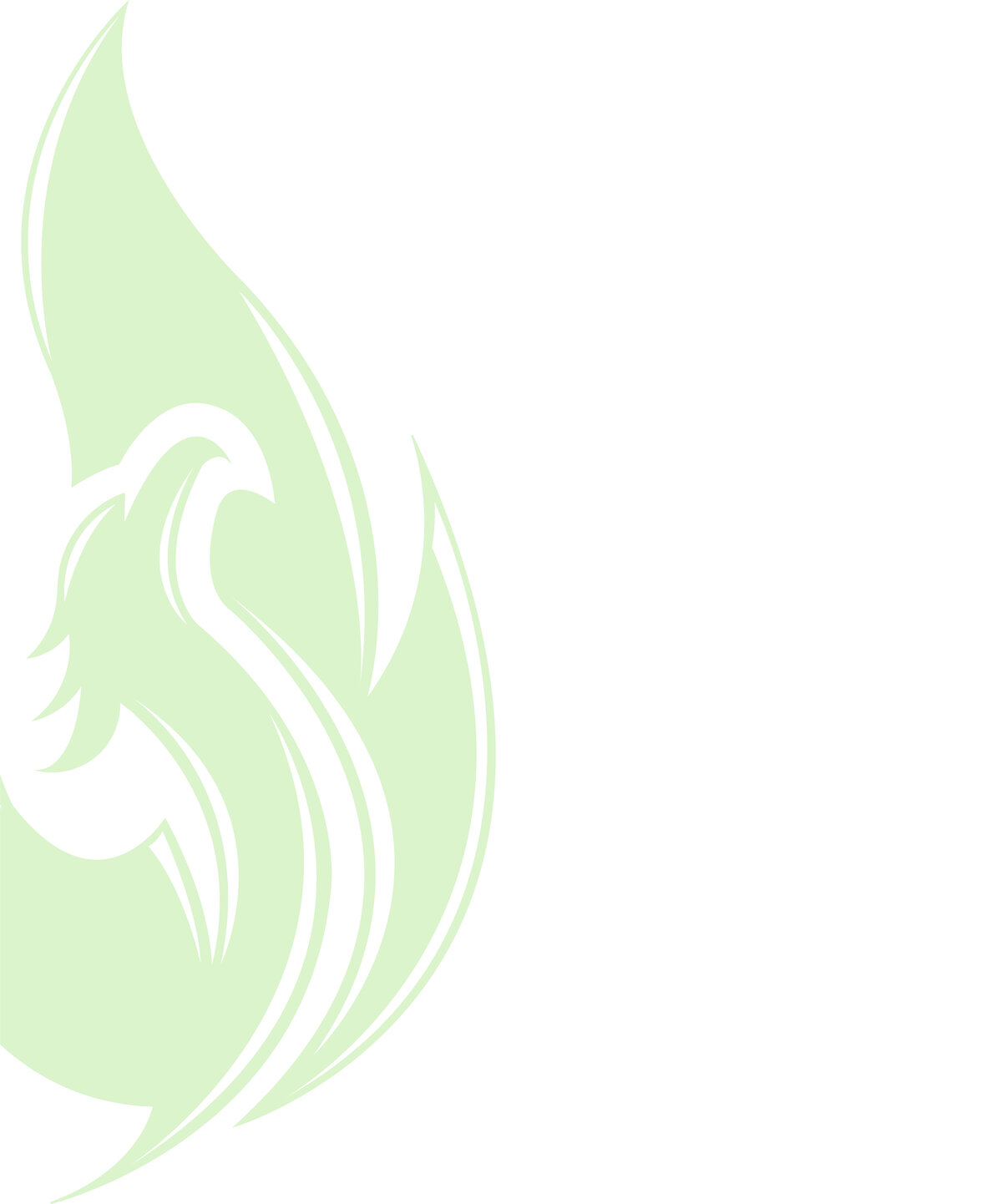 Maori and Polynesian Logo Design | Ra Designs