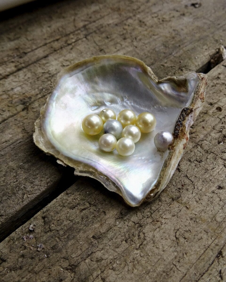 Pearl Information | Midas Diamond Jewellers