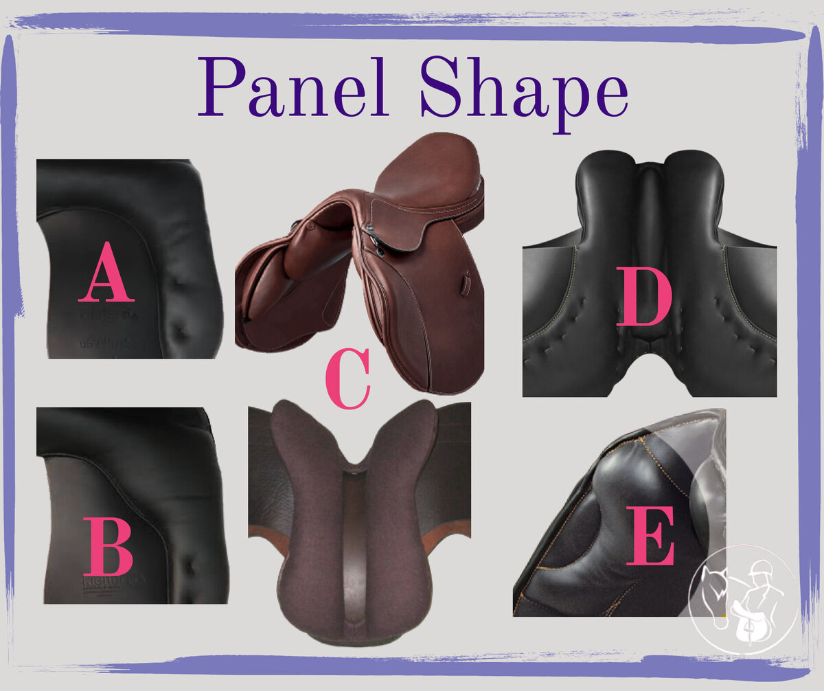Understanding Saddle Panel Shapes: A Guide for Horse Owners | Auckland ...