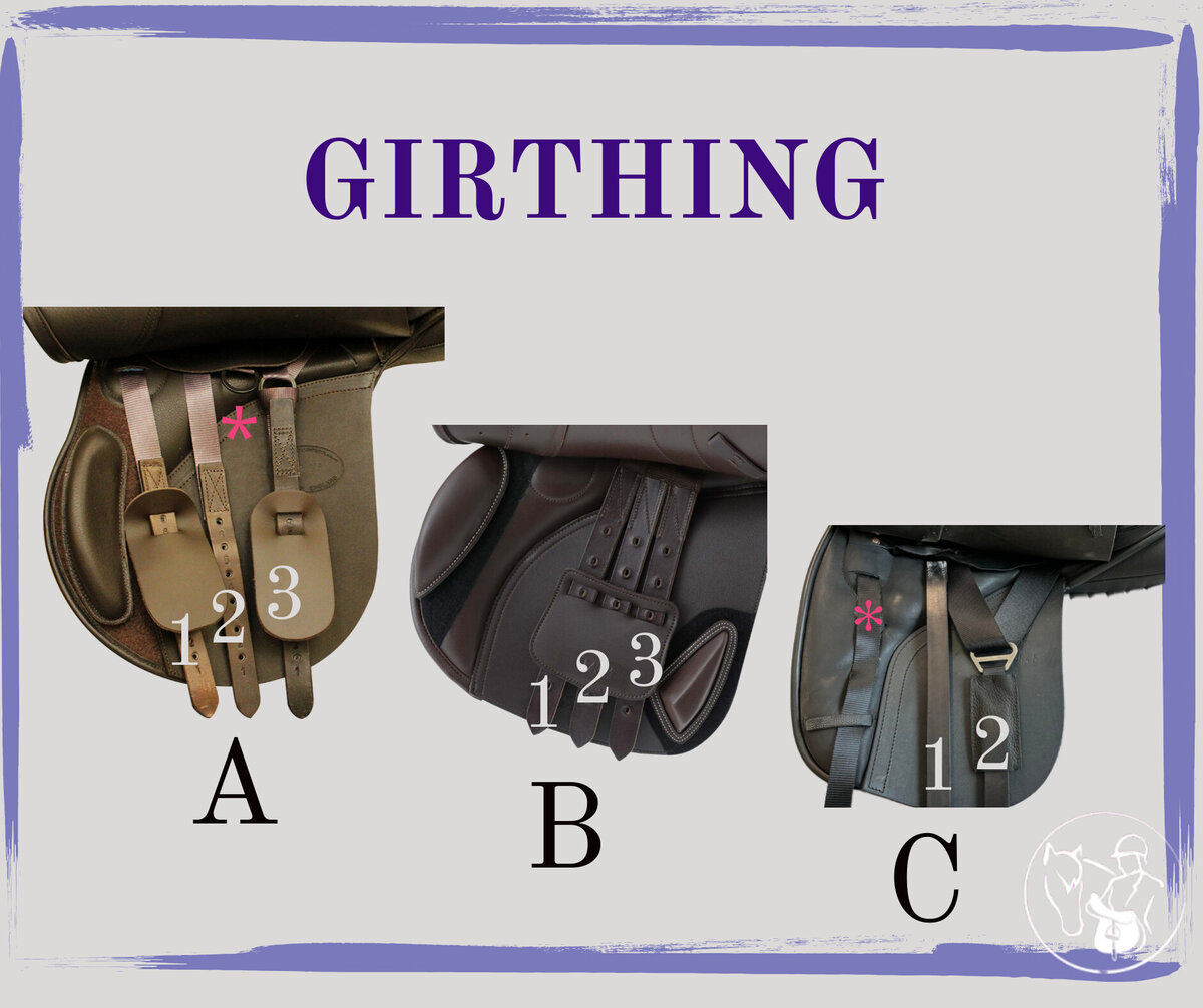 Understanding Girthing: Choosing the Right Girth for Your Horse’s ...