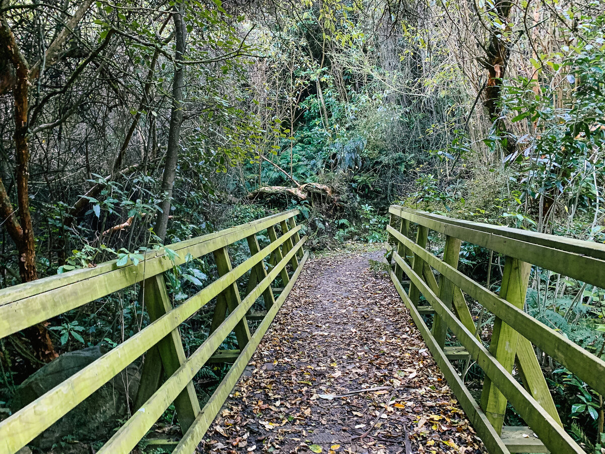 Point Bush Ecosanctuary | | Walking The Whitehorse Big Easy - An Autumn ...