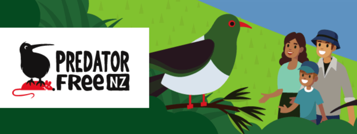 Point Bush Ecosanctuary | | Pest and Predator Control - Tips from the ...