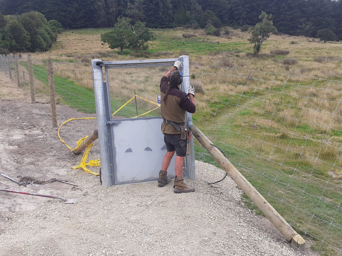 Point Bush Ecosanctuary | | PREDATOR FENCE UPDATE | FEB 2021