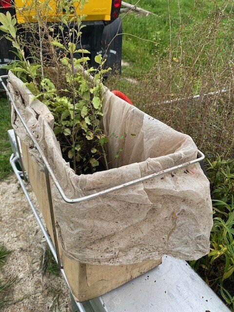 Point Bush Ecosanctuary | | 2024 ECOSANCTUARY NEWSLETTER