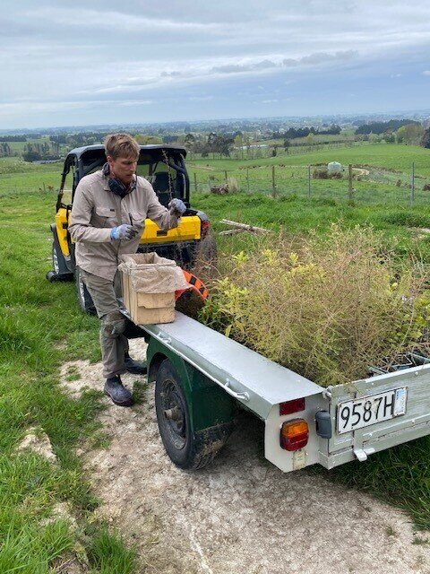 Point Bush Ecosanctuary | | 2024 ECOSANCTUARY NEWSLETTER