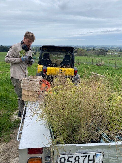 Point Bush Ecosanctuary | | 2024 ECOSANCTUARY NEWSLETTER