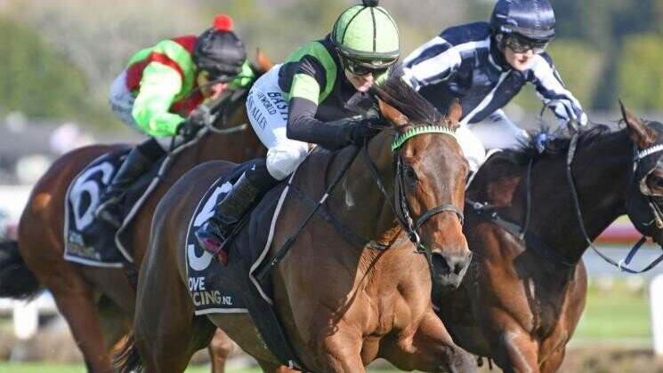 Phelan Racing | Phelan’s team hitting the mark