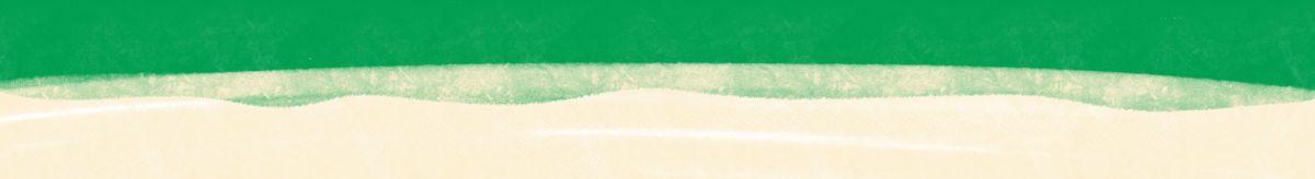 Tui Ridge Park – School Camps & Group Retreats in Rotorua