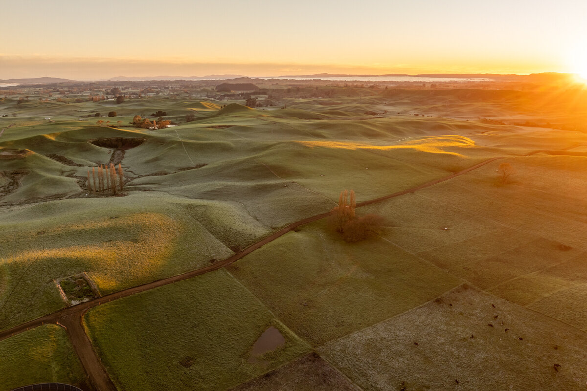 Dairy Hygiene Products NZ | Deosan Trusted by Kiwi Farmers | Deosan