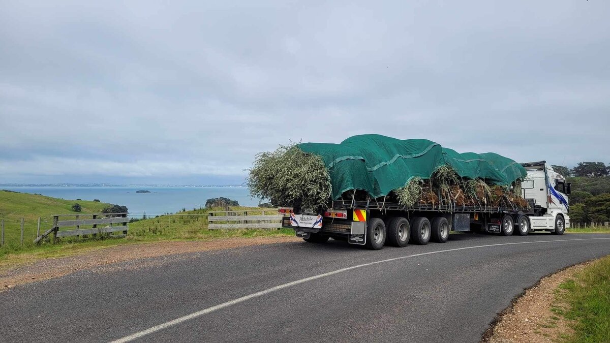 Hiab, Refrigerated and Freight Transport Services | Pukekohe Hiab Transport