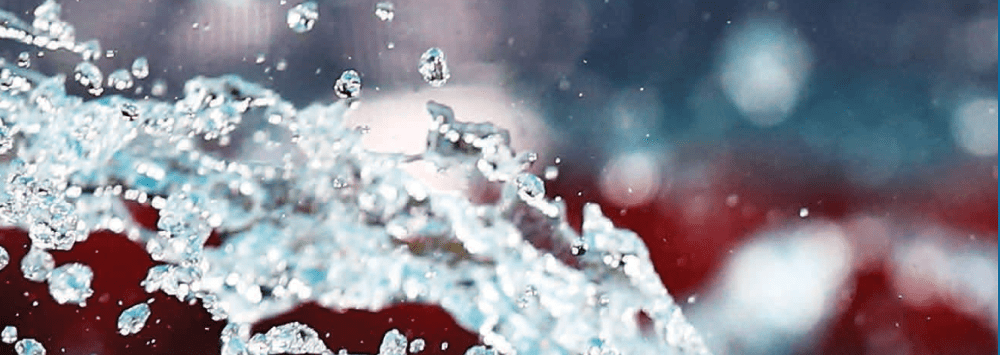 Swimming Lessons Hamilton. Hamilton Aquatics Swimming Club