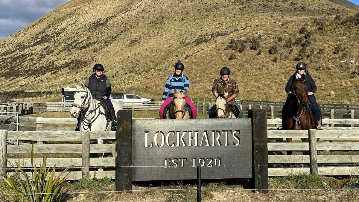 Book Horse Trekking | Lockharts Canterbury | Lockharts Horse Trekking