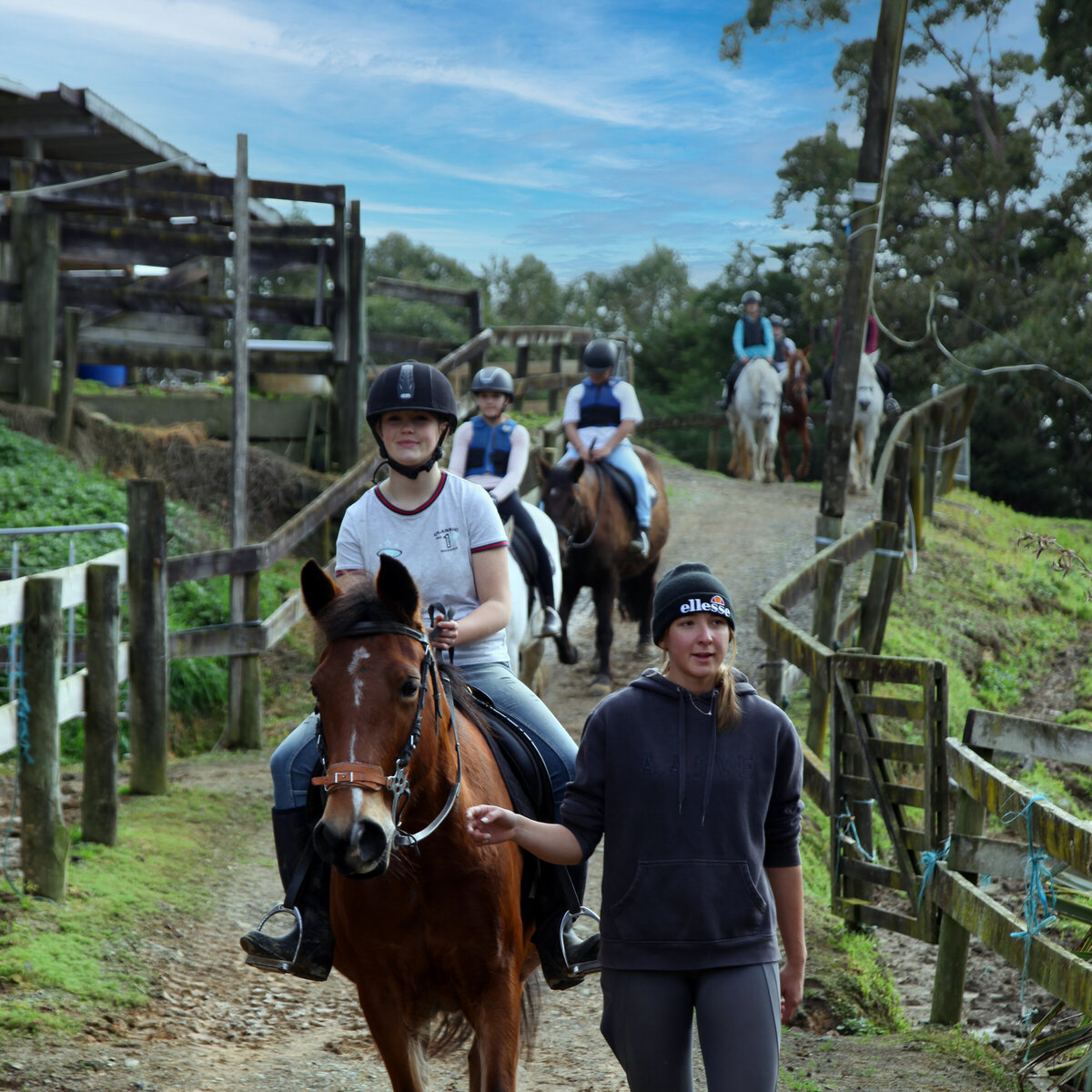 Camps & Activities | Sonshine Ranch