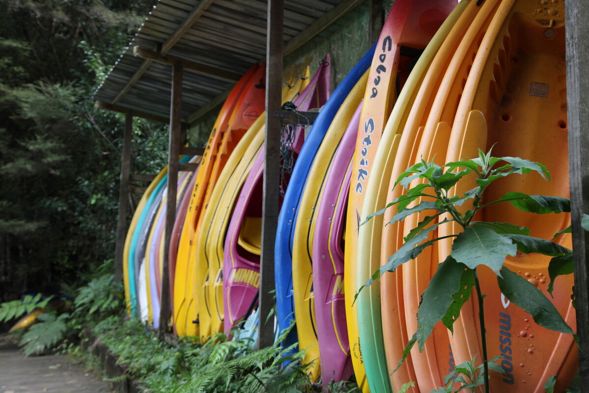 Camps & Activities | Sonshine Ranch