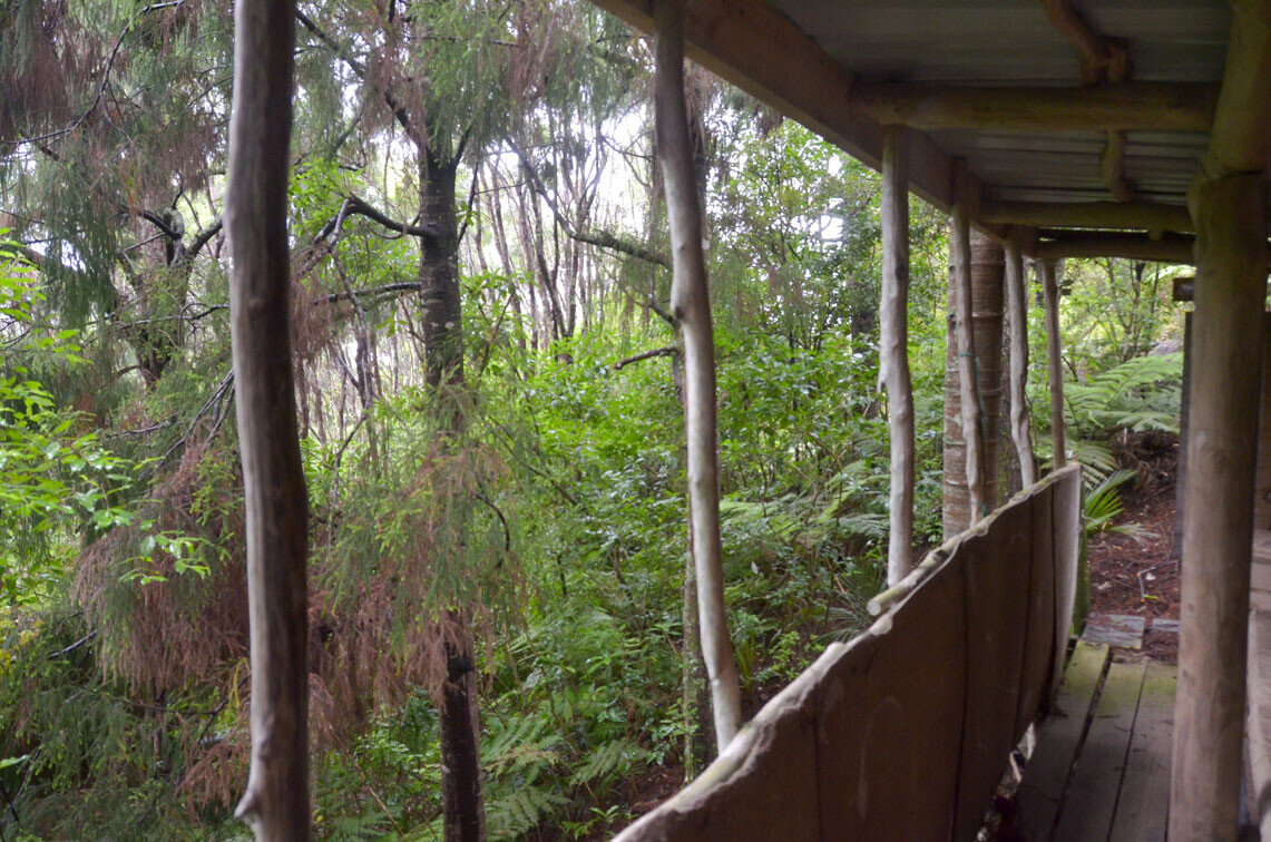 Camps & Activities | Sonshine Ranch